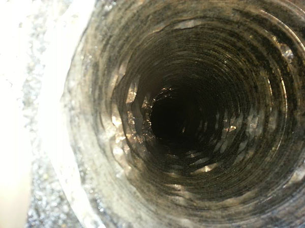 Edelweiss Ramonage | Ramonages