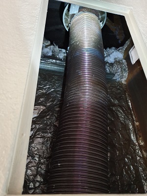 Edelweiss Ramonage | Débistrages